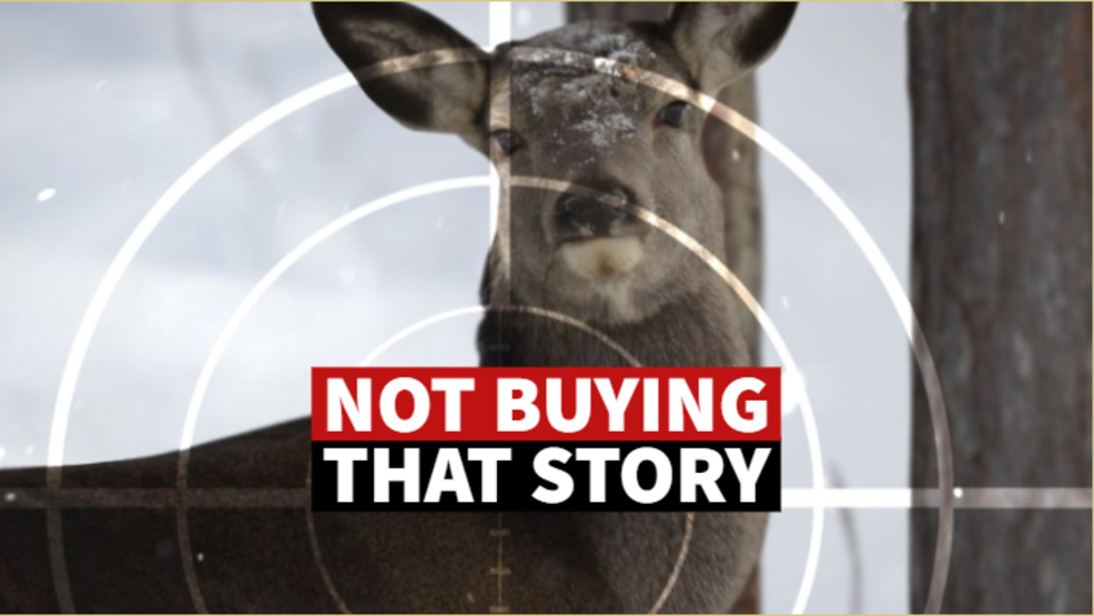 Man makes up story about kid killing a deer on his property | WOAI