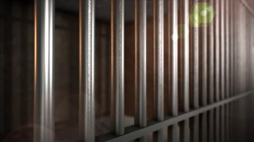 Three inmates test positive for COVID-19 at Lee State Prison | WGXA