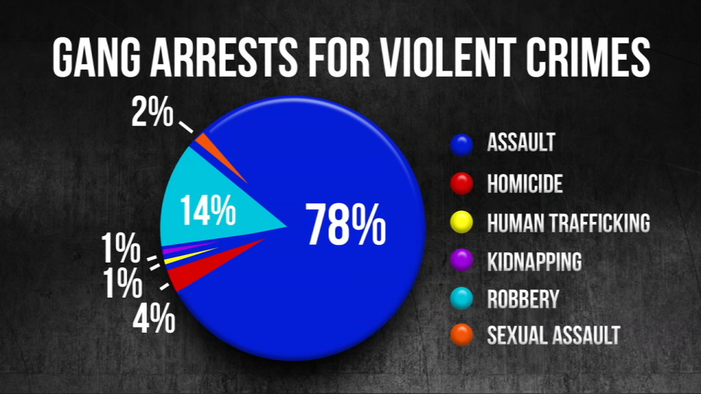 DPS gang threat report: Bexar County hot spot for gang activity | WOAI
