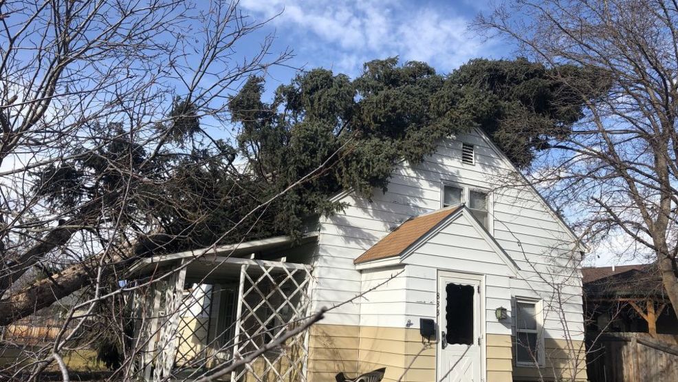GALLERY: Photos and video of wind damage across Montana | KECI