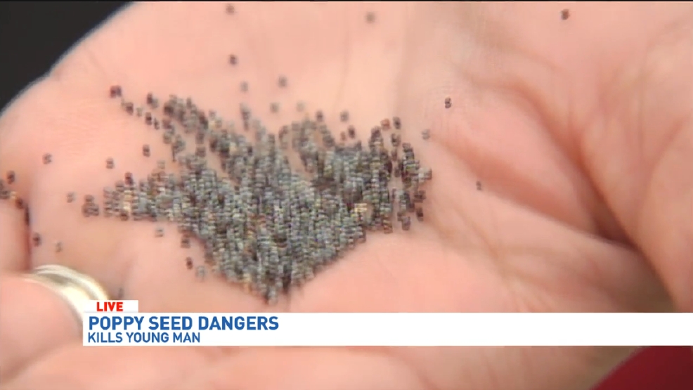 Family, experts warn of poppy seed dangers after man's sudden death | WWMT