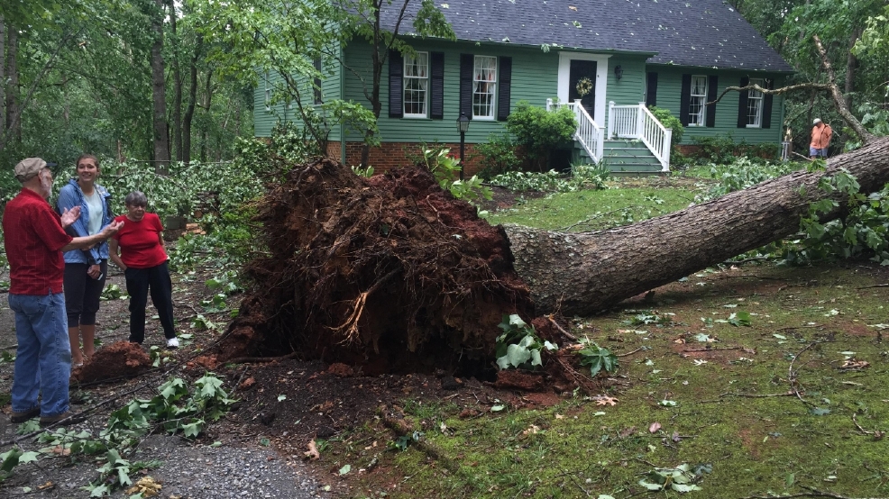 Six large trees uprooted, house spared during storm | WSET